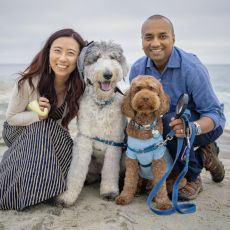 American Adoptions - American Adoptions - America's Adoption Agency